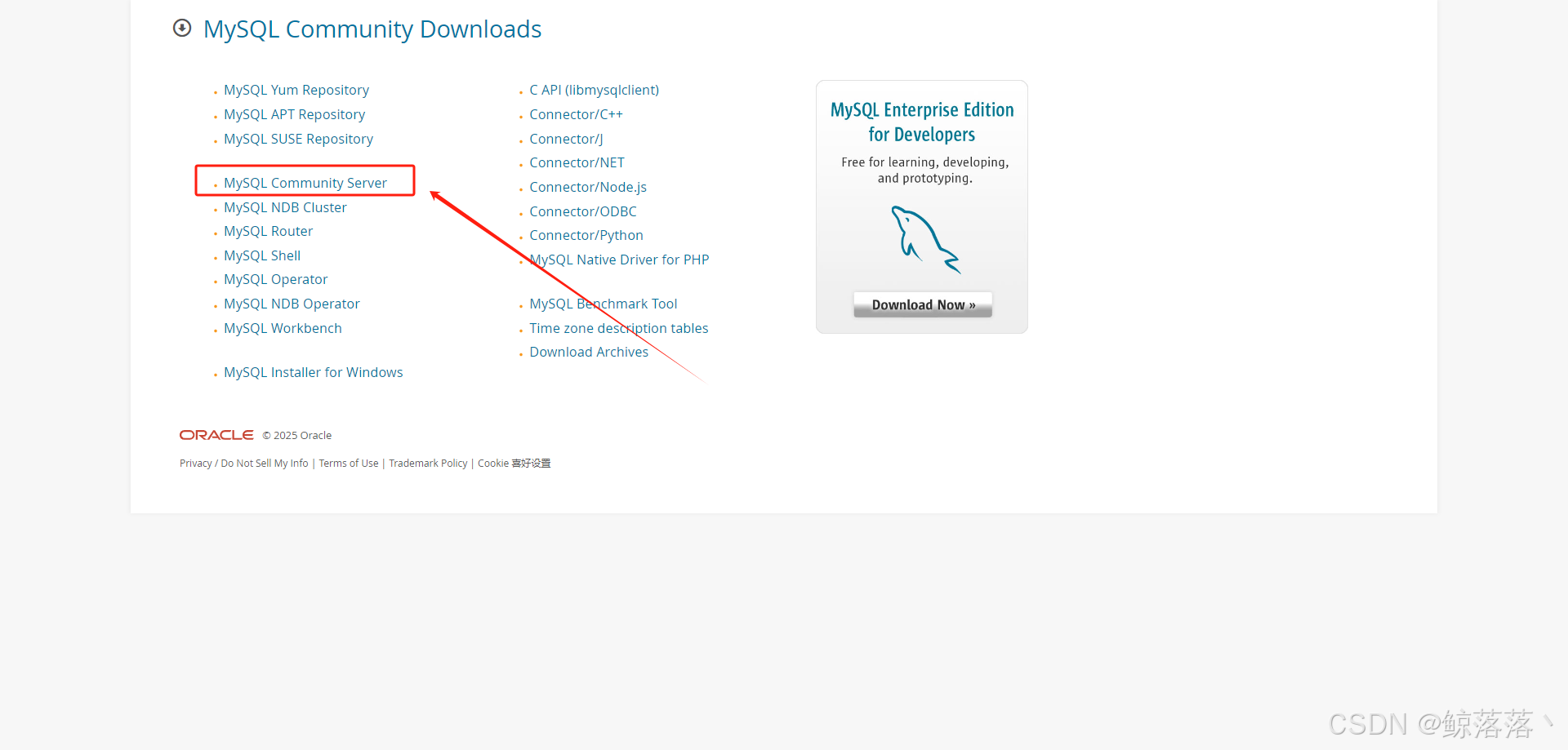 Linux安装mysql数据库，并配置开机自启（图文版），超详细版！！！mysql开机自启 Csdn博客