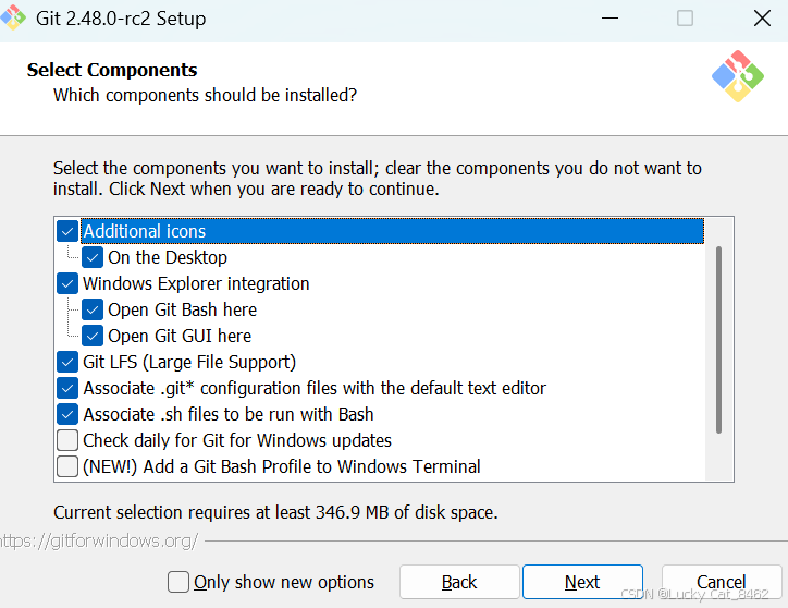 【2025年超详细】Git 系列笔记-1 Git简述、Windows下git安装、Linux下git安装_windows git-CSDN博客