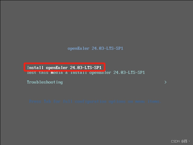 Vmware 17 安装 openEuler 24.03 LTS SP1， 配置静态IP_openeuler配置ip地址-CSDN博客