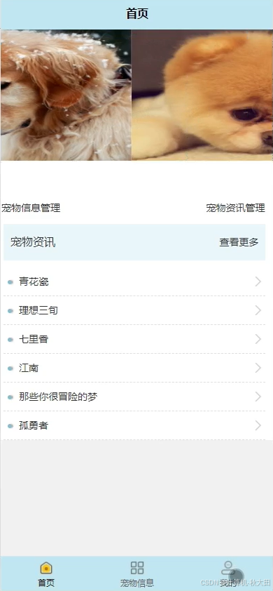 2026精选课题-基于微信小程序昆明地区宠物领养平台的设计与实现-CSDN博客