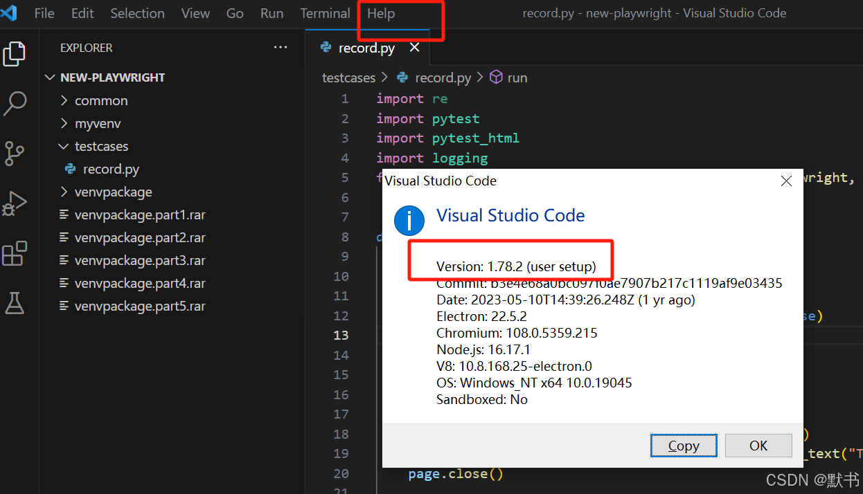 【内网vscode使用python及playwright】_vscode playwright插件-CSDN博客