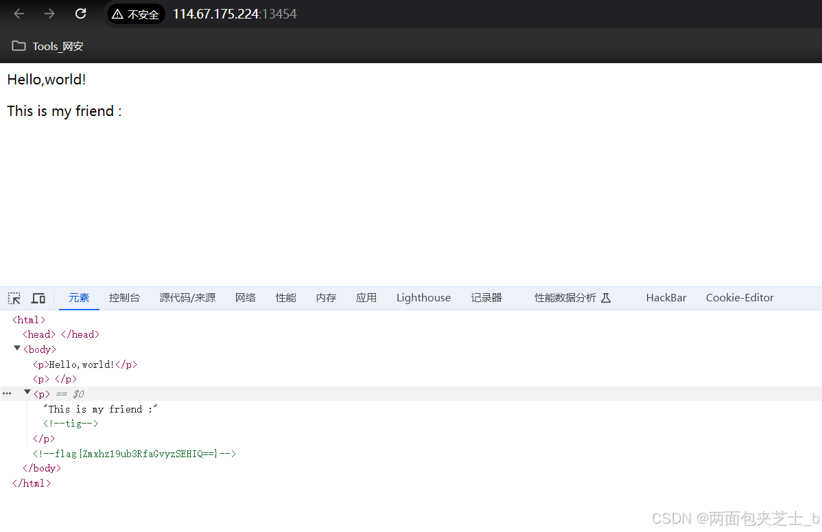 Bugku CTF web——source解题_bugku source-CSDN博客