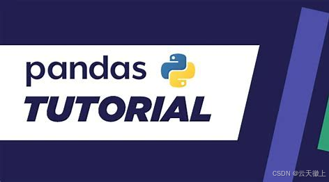 【Pandas】深入解析Pandas中的统计汇总函数`dt.minute()`_pandas 分钟-CSDN博客