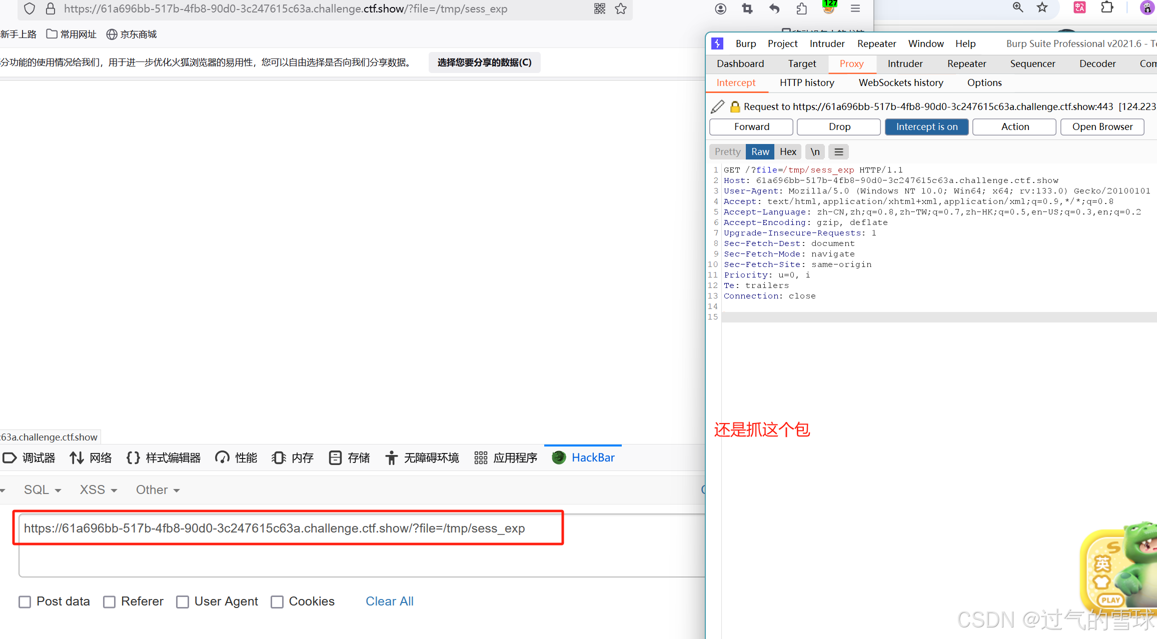 CTFshow--WEB入门--文件包含（78-88、116、117关）_ctfshow web117-CSDN博客