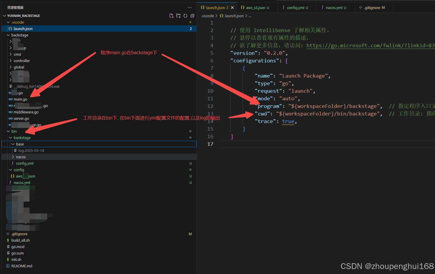 vscode开启调试模式,结合Delve调试器调试golang项目详细步骤_vscode 调试golang-CSDN博客