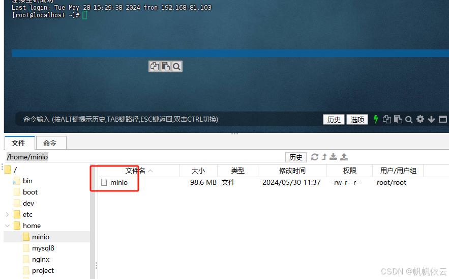 Centos7安装minio-CSDN博客