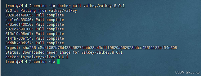 Docker安装Valkey教程（图文教程）_docker valkey-CSDN博客