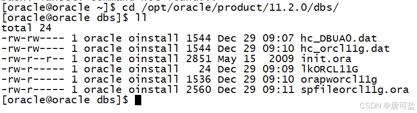 CentOS 7静默安装Oracle 11g：完整图文指南(超详细)_centos7静默安装oracle11g-CSDN博客