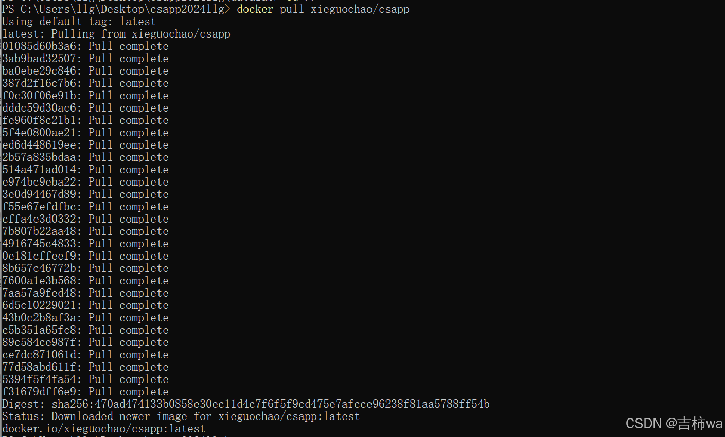 【Docker&Windows版】CSAPP-LAB资源拉取_csapp 资源-CSDN博客
