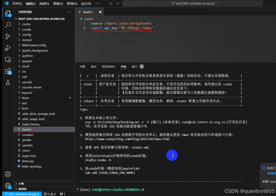 pip安装到指定目录& Vscode连接InternStudio debug笔记_vscode pip-CSDN博客