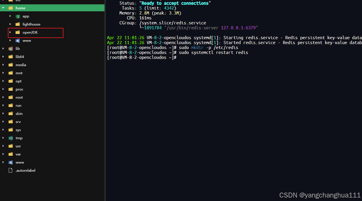 linux、centos 安装OpenJDK 17(其它版本也行)，配置环境变量（图文版本,全程带图跟着走不踩坑）-CSDN博客
