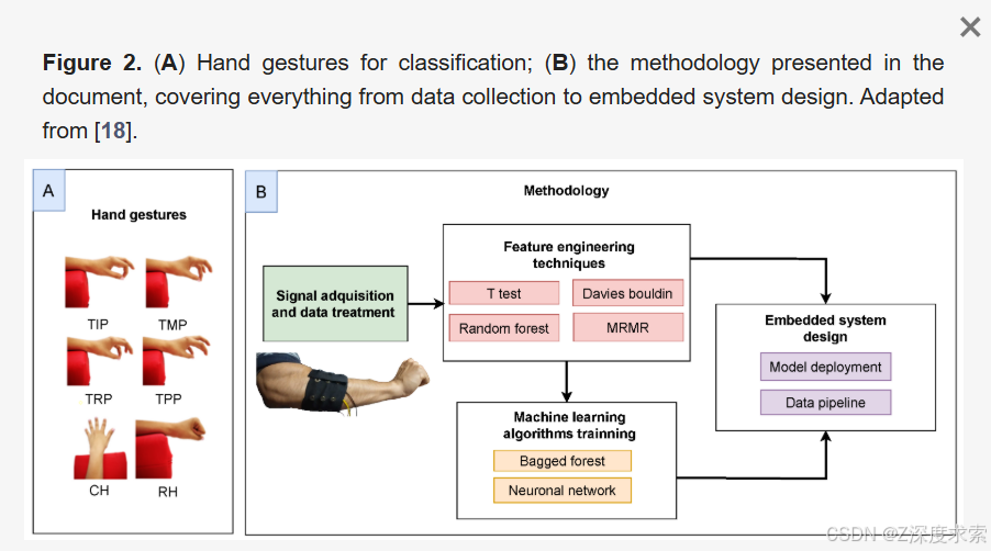 On the Deployment of Edge AI Models for Surface Electromyography-Based Hand Gesture Recognition ...