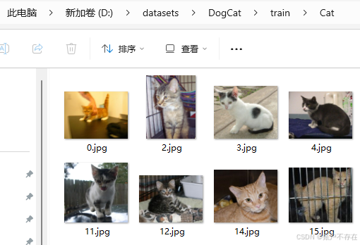 15种常用的深度学习图像分类模型训练猫狗数据集（教程源码）猫狗图像分类数据集 Csdn博客