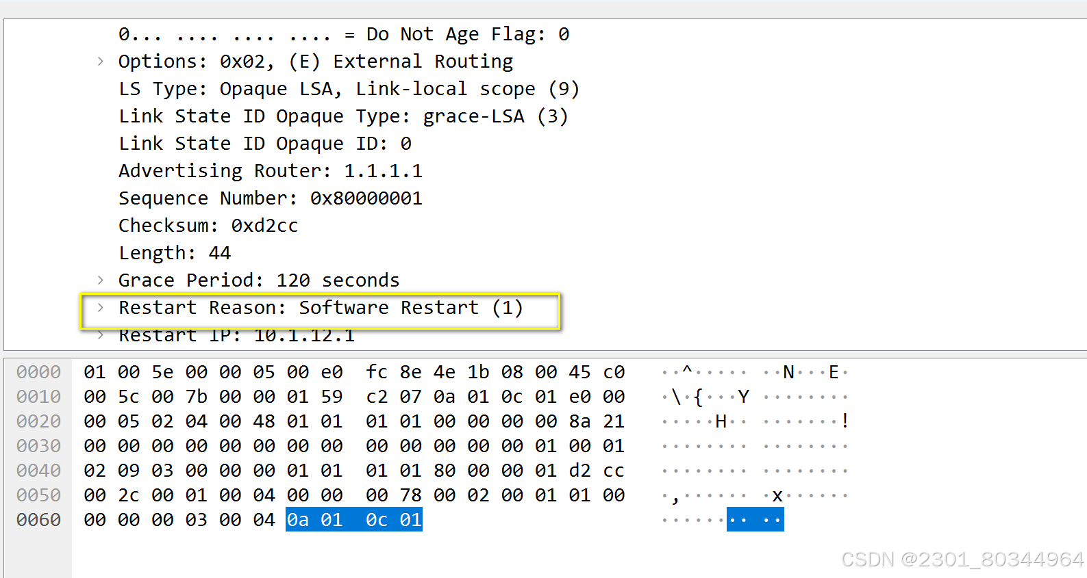 1.7 OSPF GR-CSDN博客