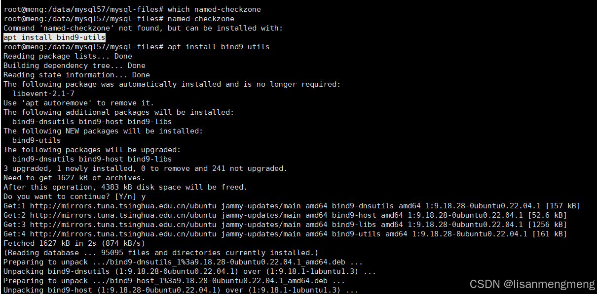 named-checkzone 命令介绍和是使用案例-CSDN博客