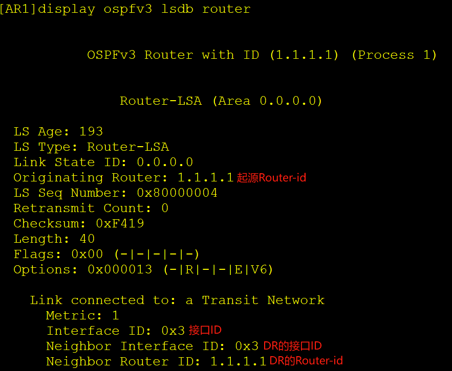 OSPFv3详解-CSDN博客