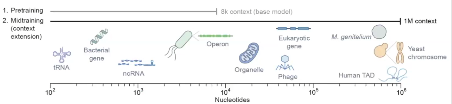 Evo2 论文讲解_基因 模型 evo2-CSDN博客