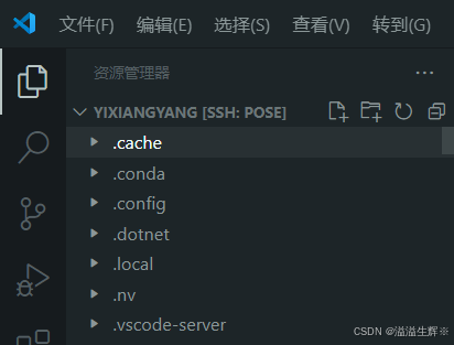 vscode在远程服务器安装python一直installing的问题_vscode remote ssh 一直installing extensions ...-CSDN博客