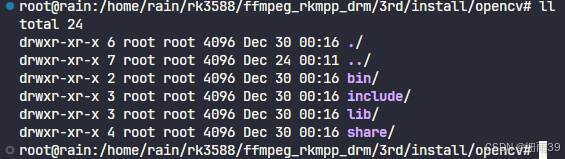 全网最细万字教学！RK3588使用ffmpeg+rkmpp硬解码+DRM渲染显示MP4视频【纯代码】_ffmpeg mpp-CSDN博客