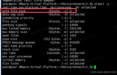 Segmentation fault (core dumped)分析排查-CSDN博客