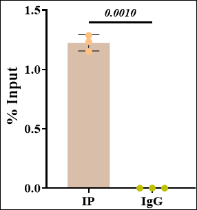 ChIP/MeRIP-qPCR实验与结果分析-CSDN博客