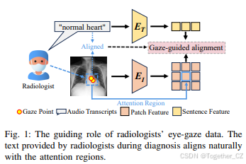Eye-gaze Guided Multi-modal Alignment forMedical Representation Learning——眼动引导的多模态对齐用于医学表示学习 ...