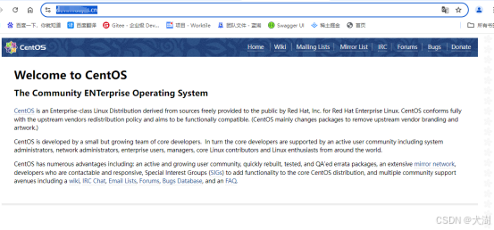 Windows/Linux下部署.net Core和vue项目全流程_零基础搭建netcore7.0+vue3示例项目-CSDN博客