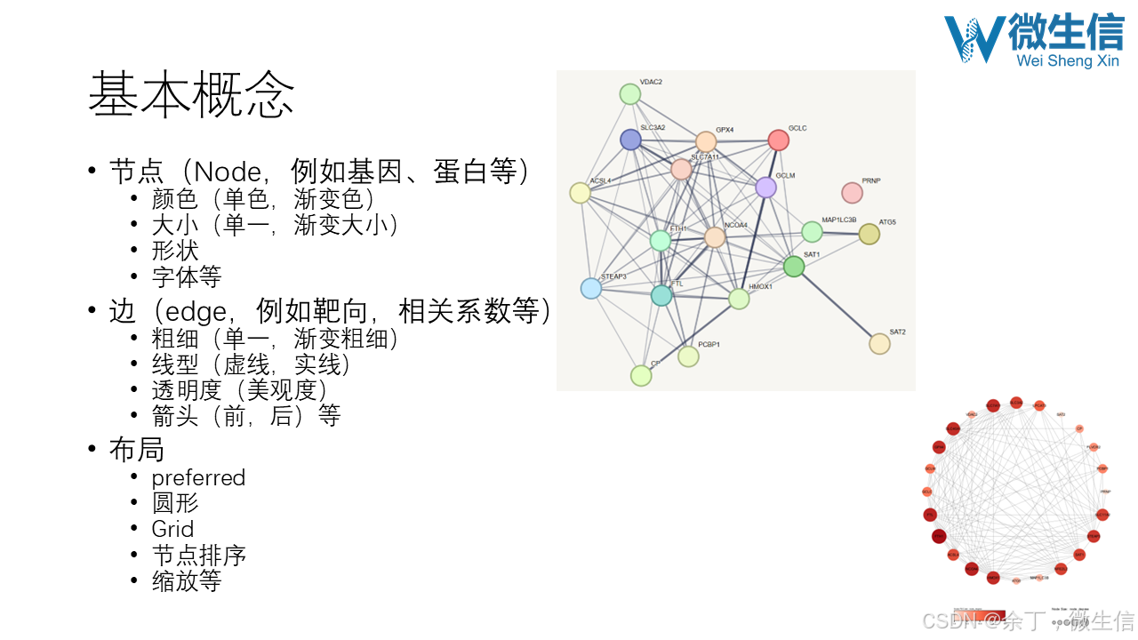 生信入门第十二课：用Cytoscape绘制PPI网络图并使用cytohubba识别hub基因_ppi cytoscape hub gene ...