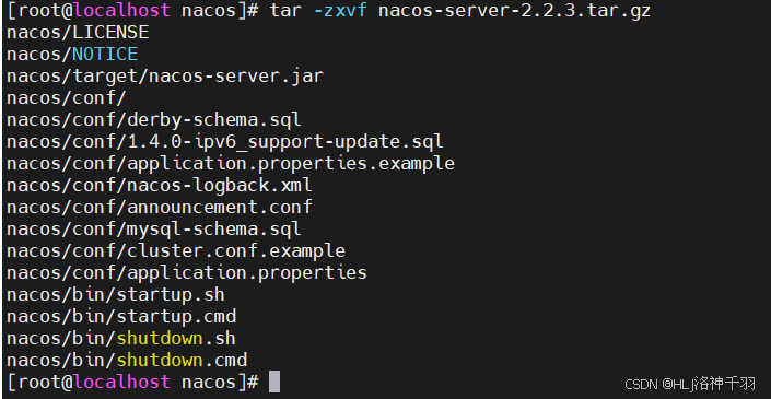 Linux系统上安装Nacos_nacos linux版本 网盘-CSDN博客