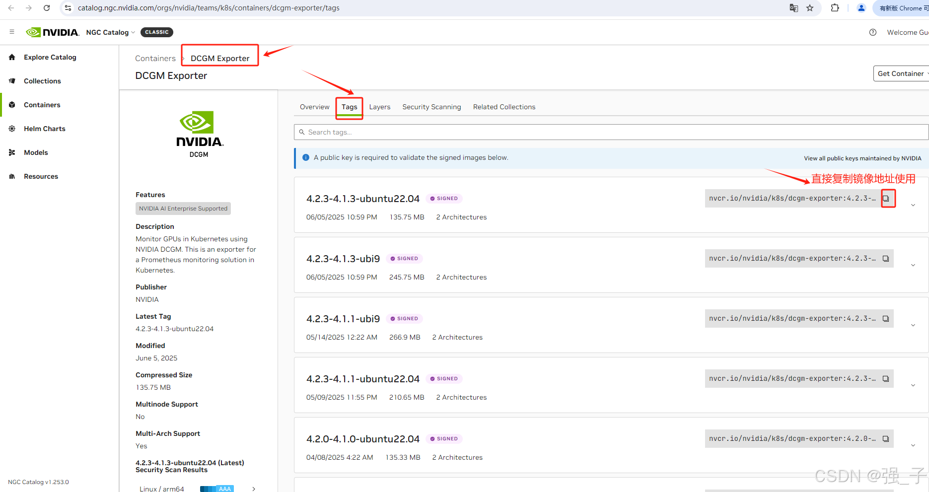 dcgm-exporter所需镜像拉取及NVIDIA NGC中API Key获取_nvcr.io-CSDN博客