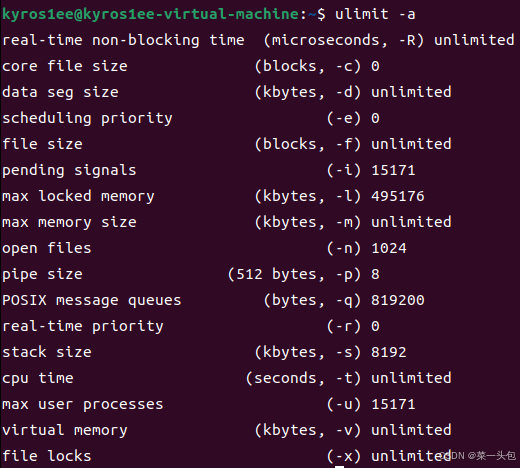 Linux多进程学习笔记（二）并发（信号）_memcpy 函数可重入吗-CSDN博客