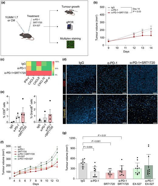 AbMole小讲堂丨SRT1720：多维度调控氧化应激、纤维化及肿瘤免疫的SIRT1特异性激活剂-CSDN博客