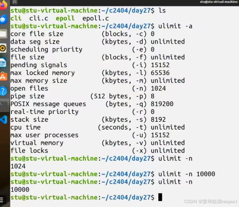 linux-i/o复用-epoll_linux epoll 边缘触发-CSDN博客
