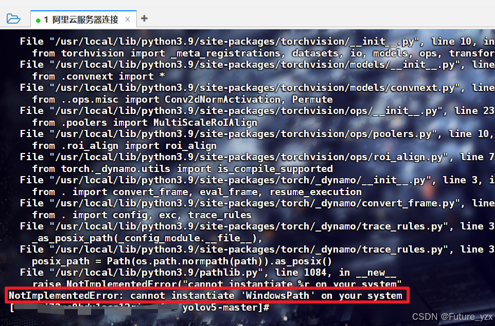 在Linux部署yolov5时遇到的问题—NotImplementedError: cannot instantiate ‘WindowsPath‘ on your system（已解决 ...