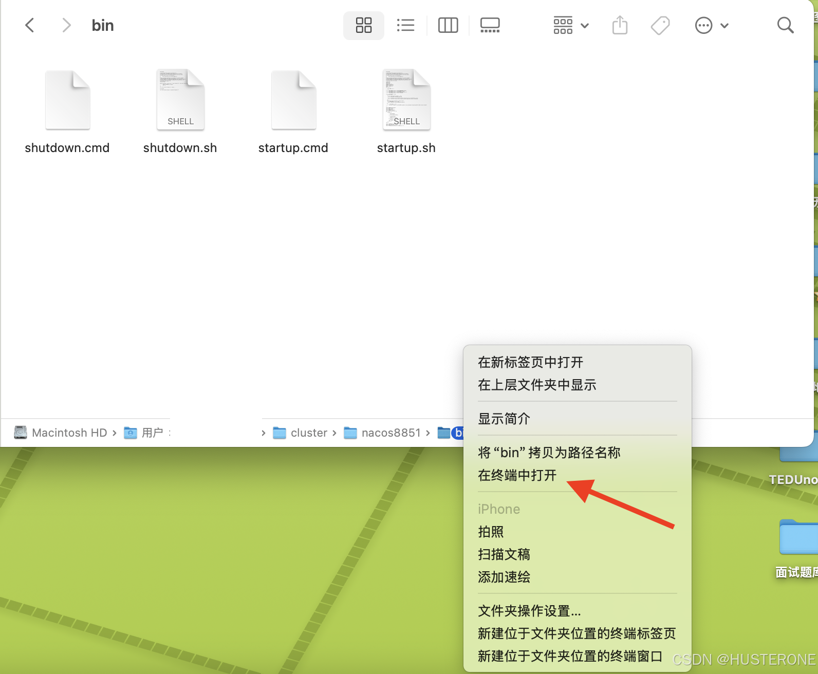 M1、M2(M系列芯片)芯片Mac电脑搭建Nacos本地集群教程_nacos m1-CSDN博客