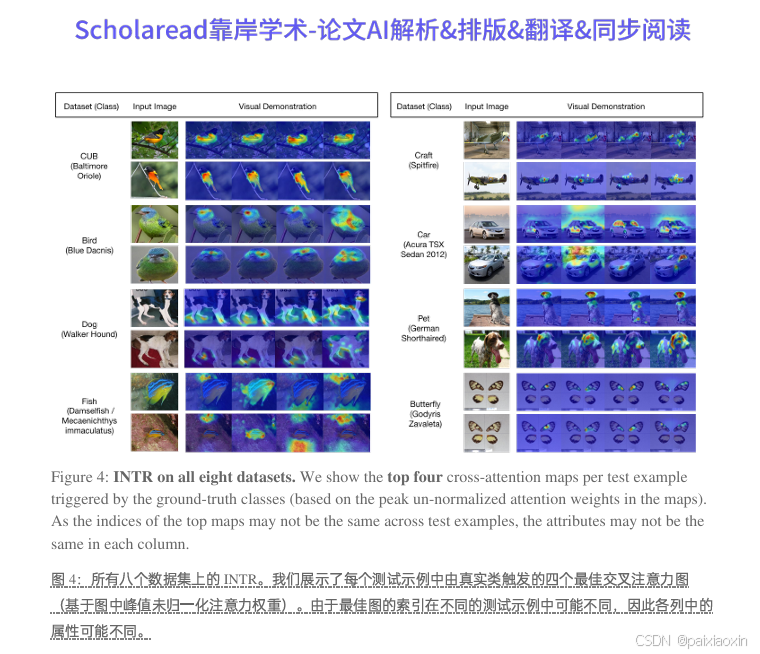 ICLR2024论文解读|A Simple Interpretable Transformer for Fine-Grained Image Classification and ...