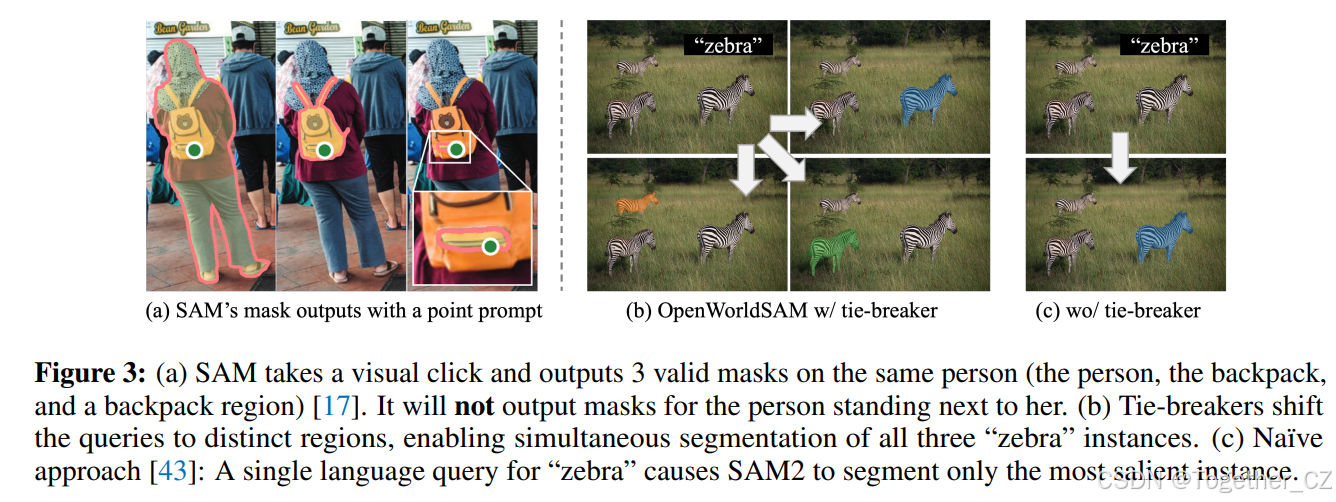 OpenWorldSAM: Extending SAM2 for Universal Image Segmentation with Language Prompts扩展SAM2以实现基于语言 ...