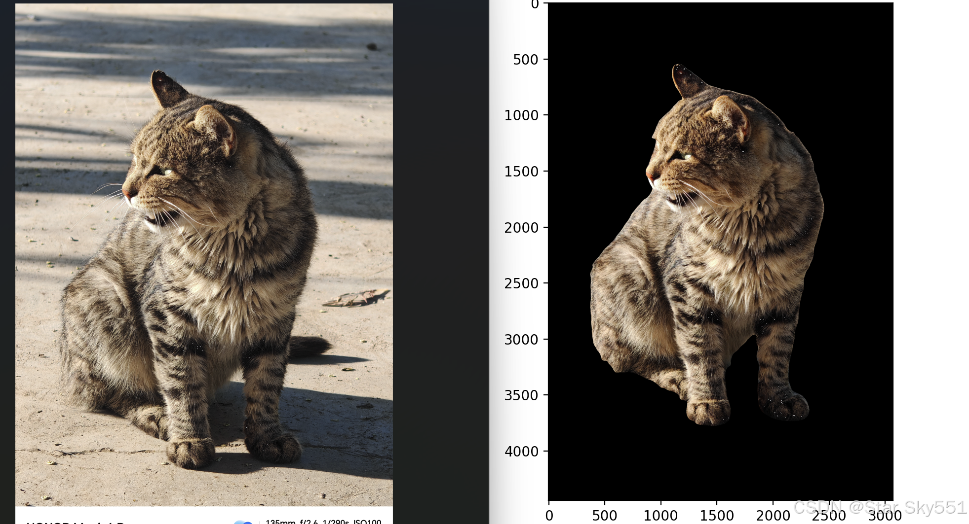 使用U2net对DUTS数据集进行语义分割-CSDN博客