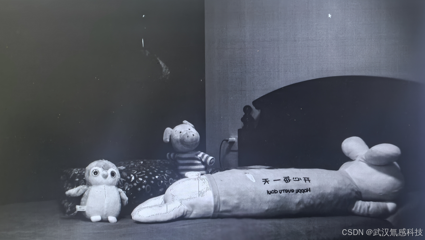 基于CMV2000的可见光相机设计-CSDN博客