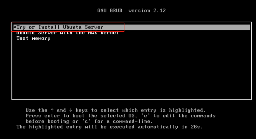 Ubuntu24.04.2 LTS VxRail虚拟化安装部署_ubuntu server 24.04.2 lts-CSDN博客