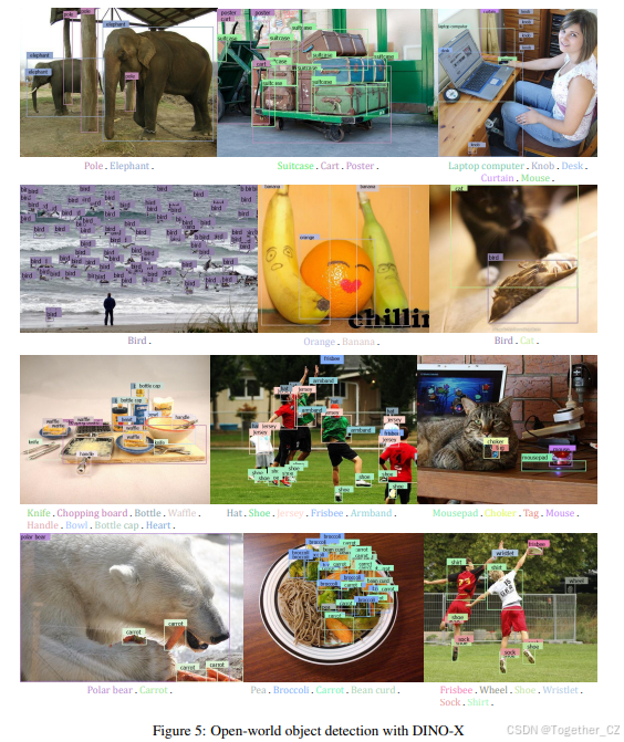 DINO-X:A Unified Vision Model forOpen-World Object Detection and Understanding_面向开放世界目标检测与理解的统一 ...