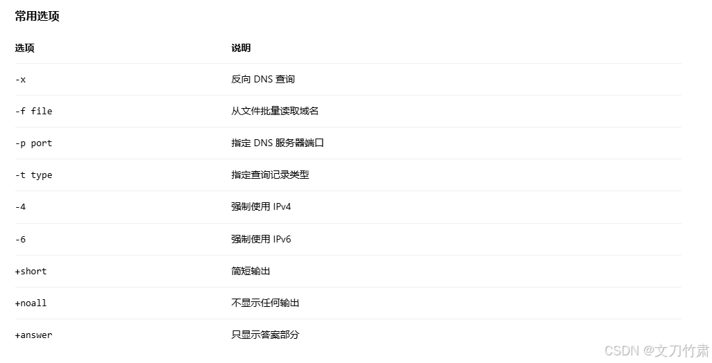 dig (Domain Information Groper) 工具详解_dig命令 反向解析-CSDN博客