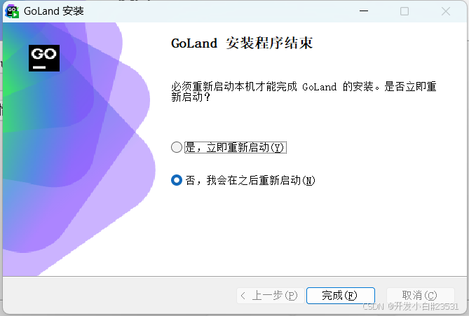 Golang开发 goland 编译器安装 并且配置环境_goland环境配置-CSDN博客