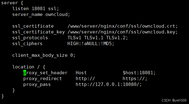 nginx代理docker的服务开启ssl_docker nginx openssl-CSDN博客
