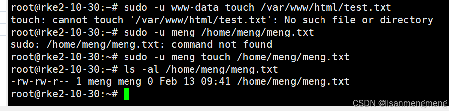 sudo 命令介绍和使用案例-CSDN博客