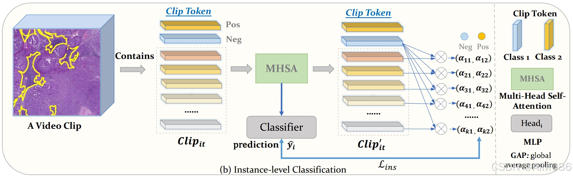 【阅读笔记】Transformer + 多实例学习---视频结构的全切片图像分类_wsi中的patch是什么-CSDN博客