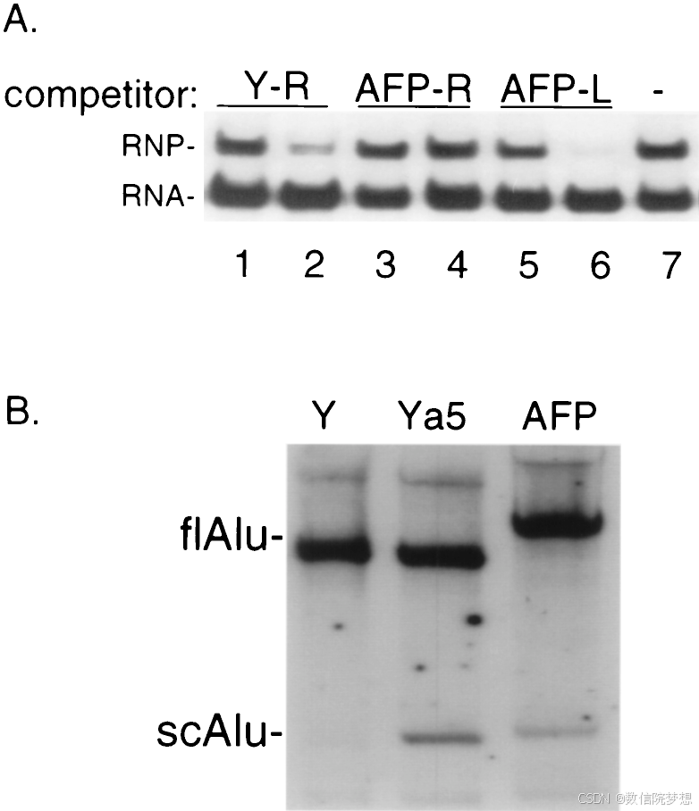 几分钟看完什么是Alu插入元件_alu元件-CSDN博客