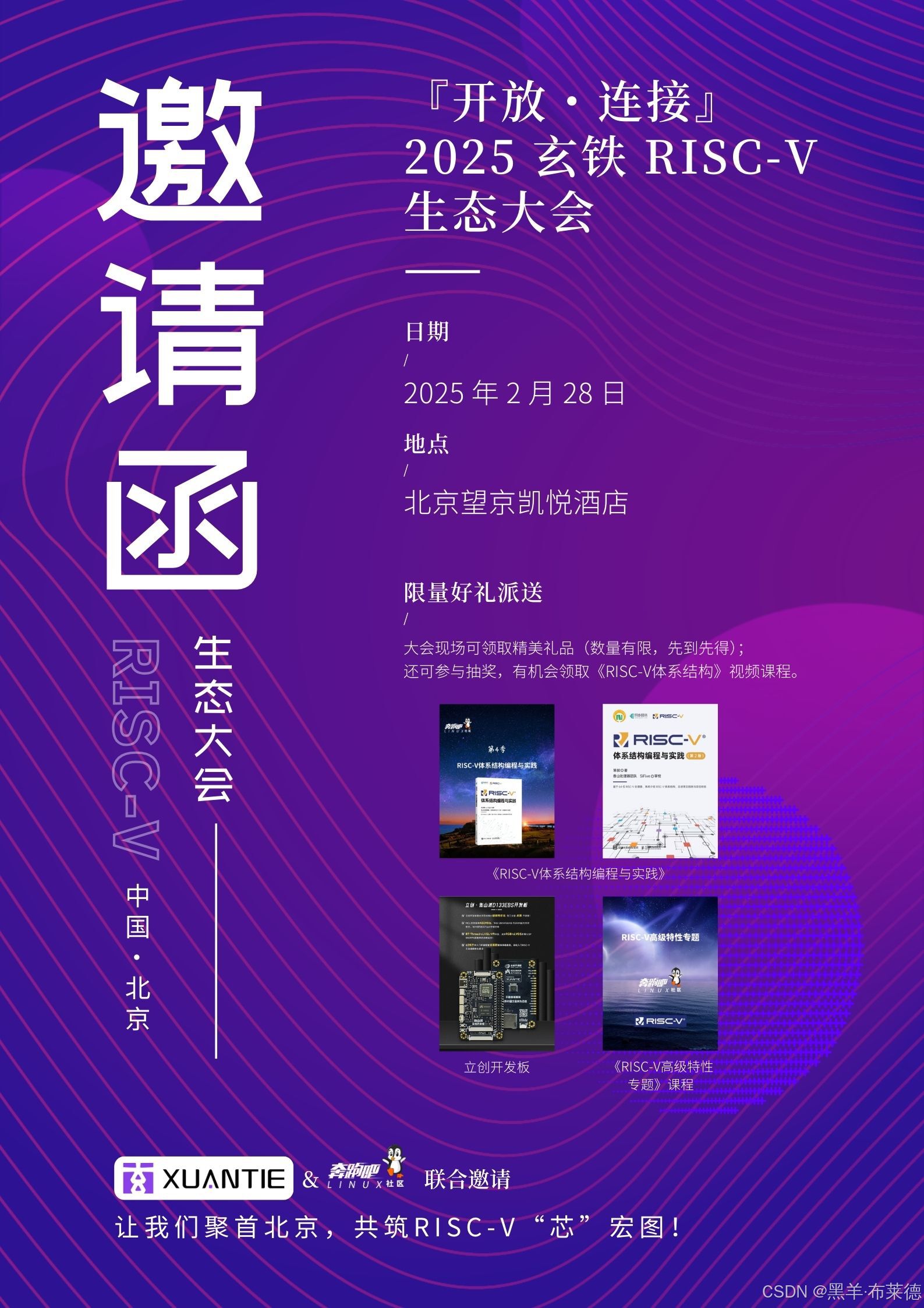 第三届“开放·连接”2025玄铁RISC-V生态大会 报名进行中-CSDN博客